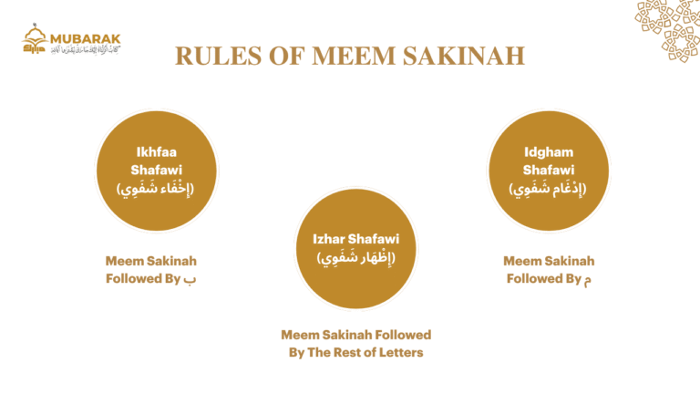 3 Rules of Meem Sakinah in Tajweed with Quran Examples